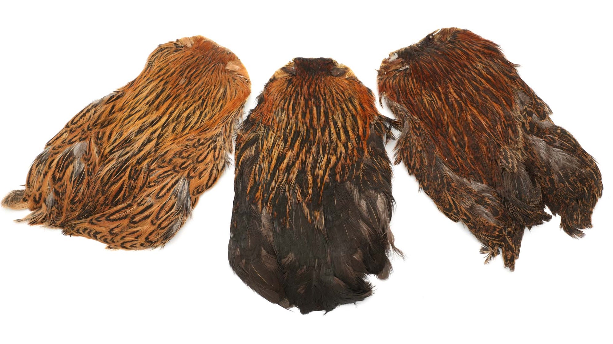 India Hen Neck feather patch (Moonlit) — DRAGONtail Tenkara