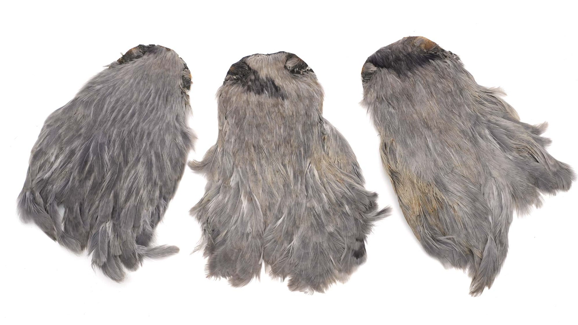 India Hen Neck feather patch (Moonlit) — DRAGONtail Tenkara