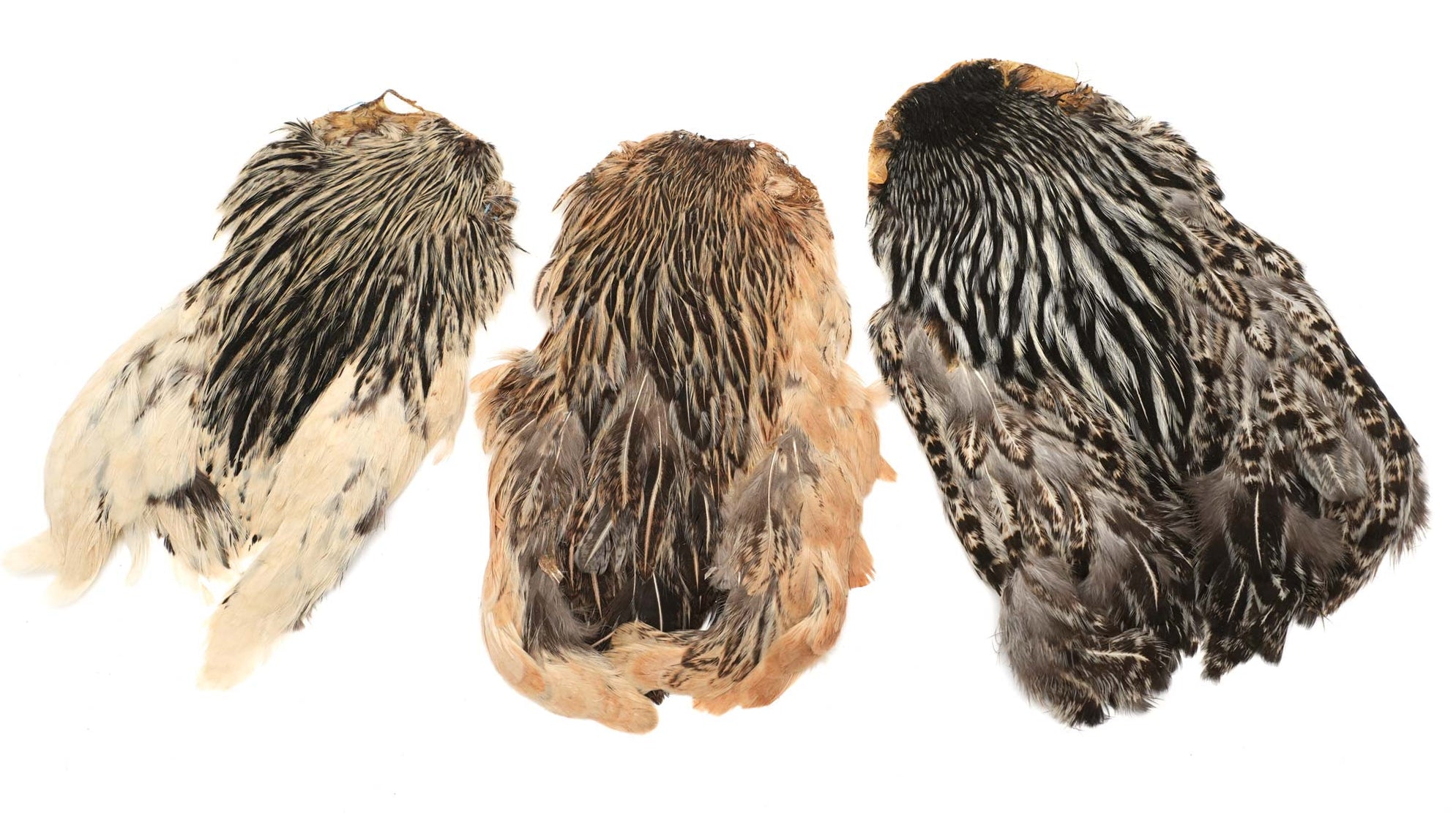 India Hen Neck feather patch (Moonlit) — DRAGONtail Tenkara
