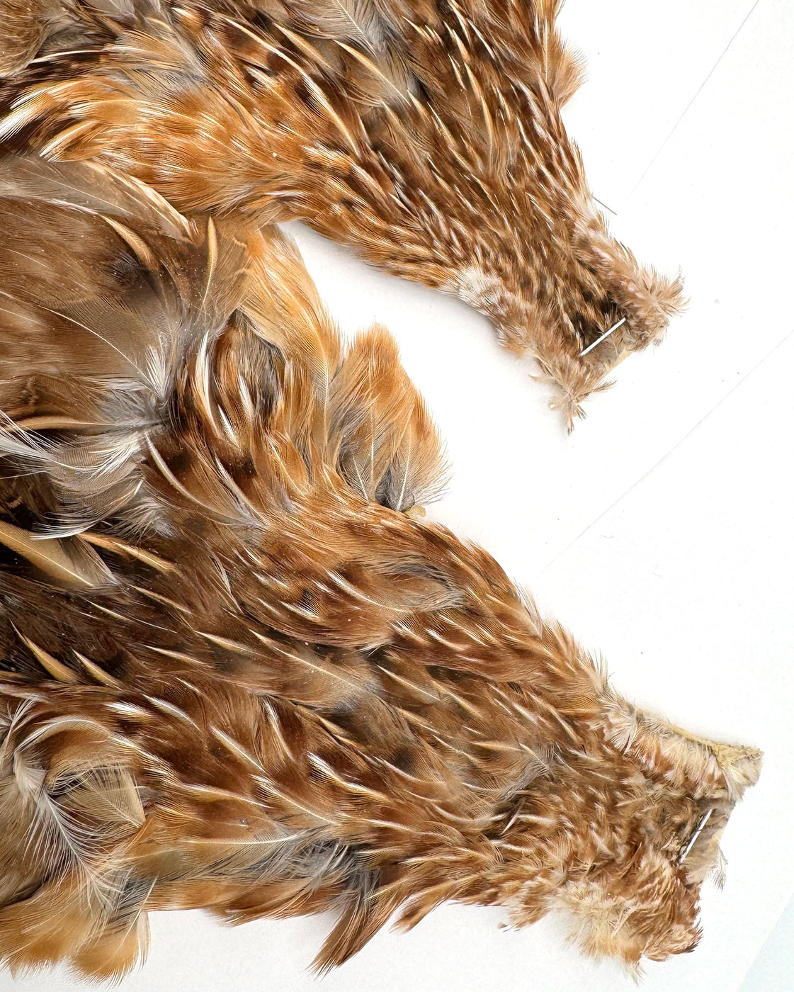 Moonlit Quail Feathers Patches (full skin) — DRAGONtail Tenkara