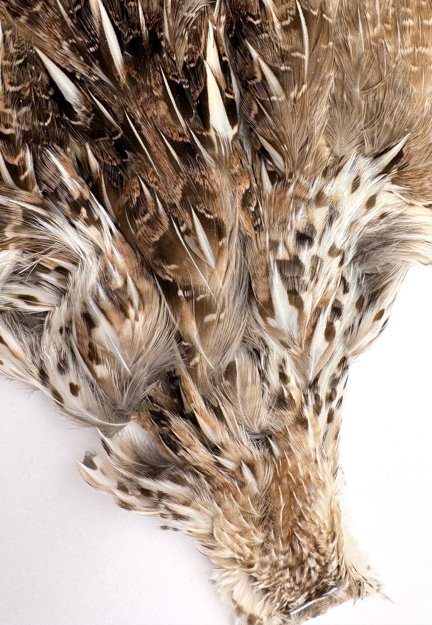 Moonlit Quail Feathers Patches (full skin) — DRAGONtail Tenkara