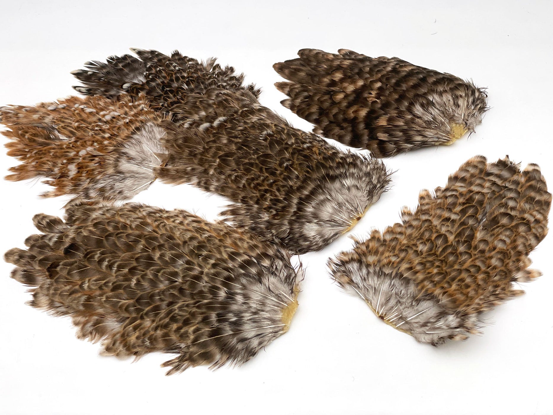 India Hen Back feather patch (Moonlit) — DRAGONtail Tenkara