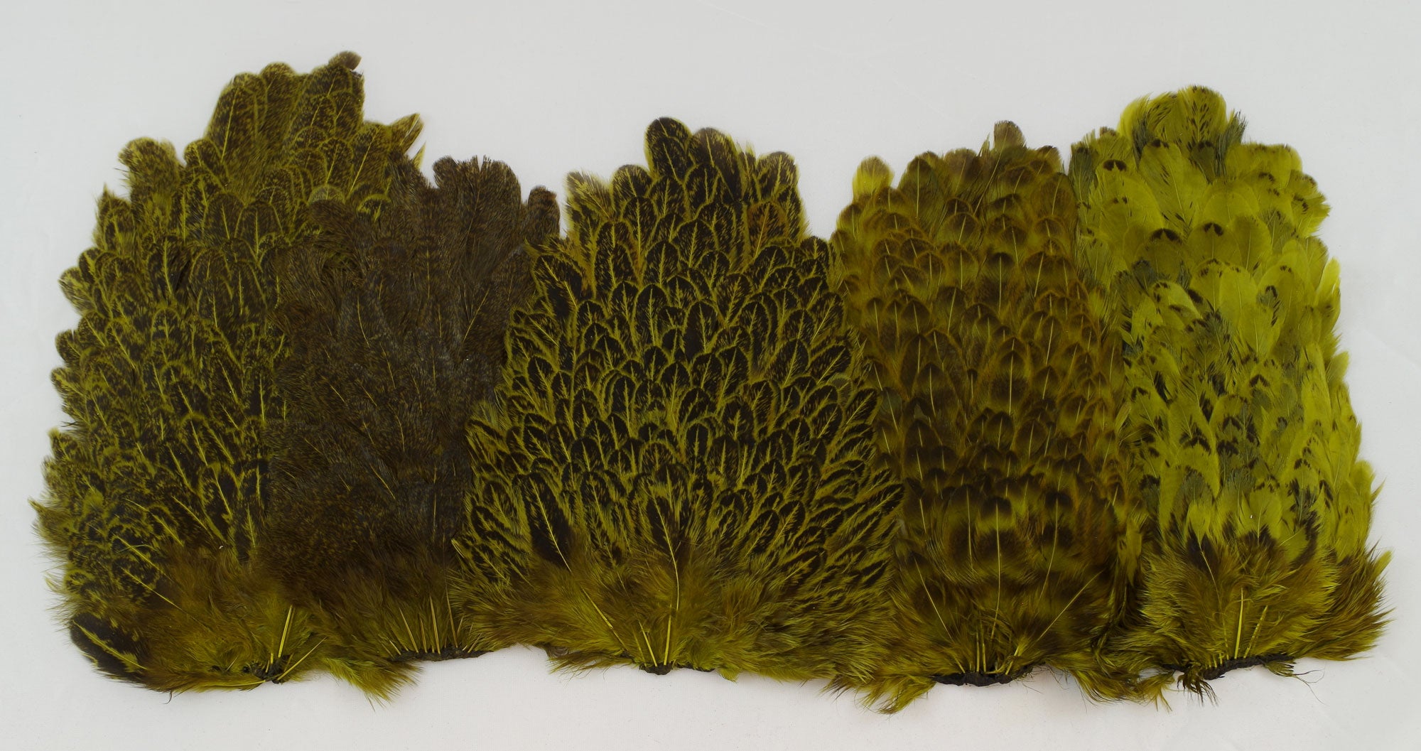 Wapsi Soft Hackle Hen Saddle Patch — DRAGONtail Tenkara