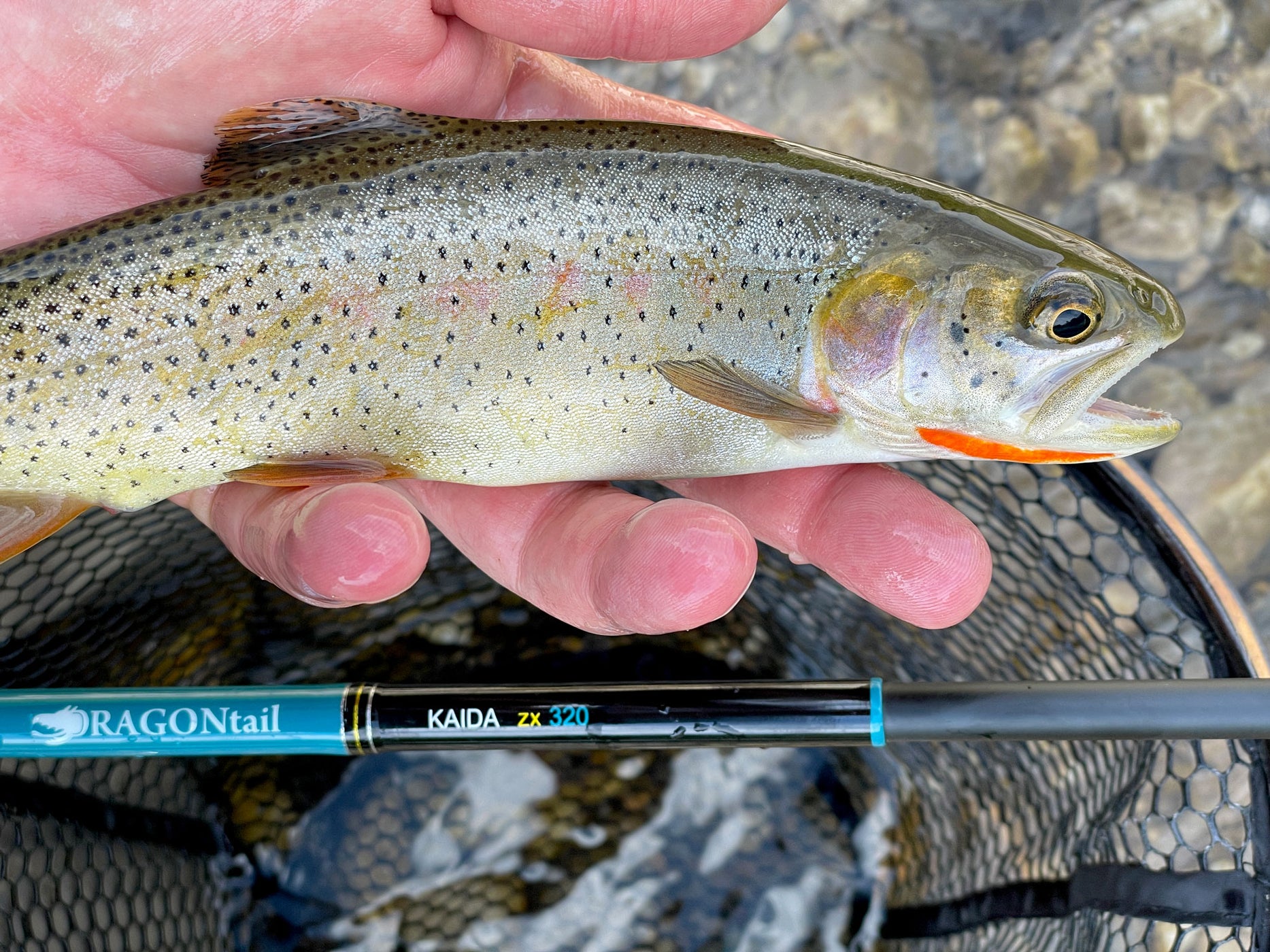 Kaida zx320 Tenkara Pack Rod — DRAGONtail Tenkara