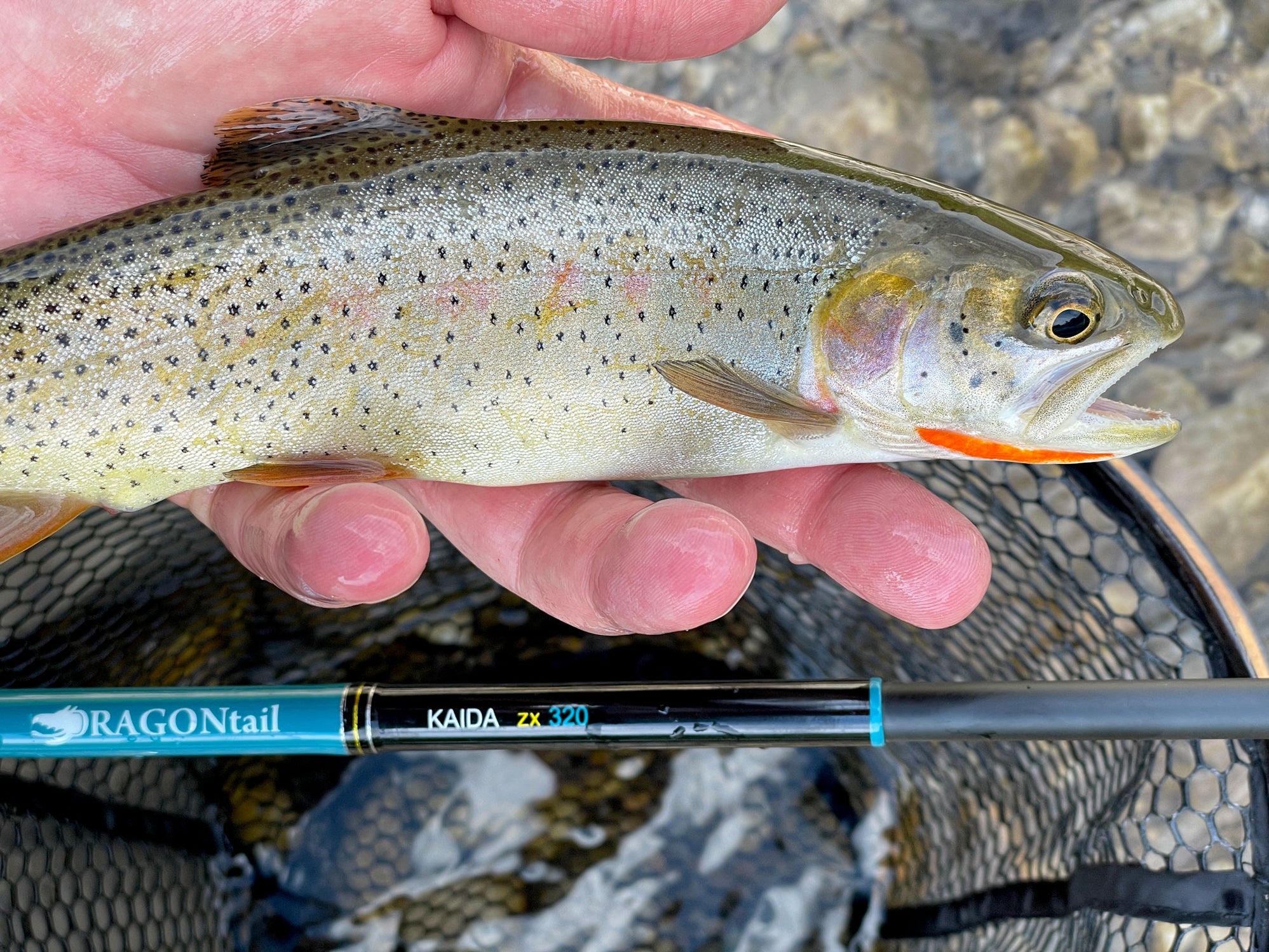Kaida zx320 Tenkara Pack Rod — DRAGONtail Tenkara